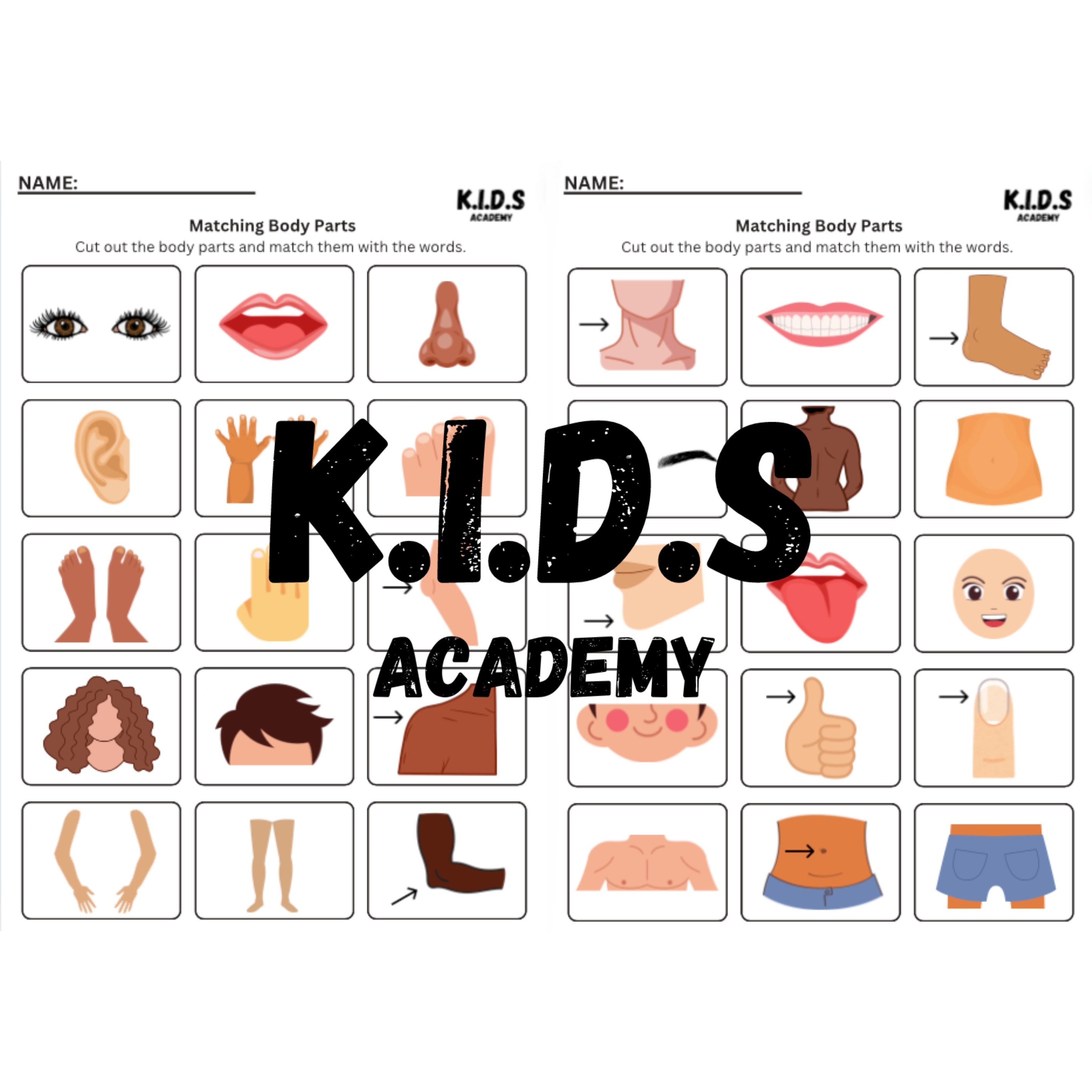 Fun Body Parts Printable Worksheet Activity for 3 - 5 Year Olds - Etsy