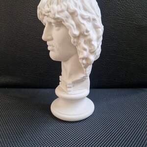 3D Printed Bust of a Barbarian Germanic Chieftain Arminius - 15cm - Etsy