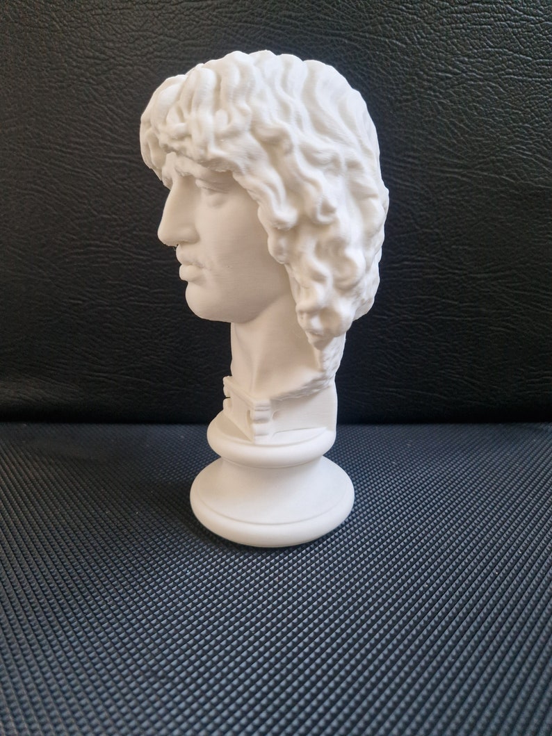 3D Printed Bust of a Barbarian Germanic Chieftain Arminius - 15cm - Etsy