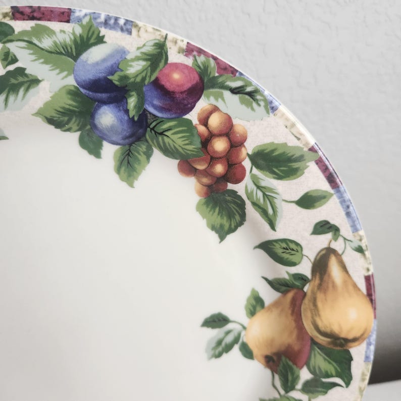 Vintage Sakura Oneida Sonoma Excell 10.5 Dinner Plates, Fruit Pattern ...