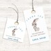 Editable Thank You Favor Tags, Some Bunny Birthday Party, Bunny Gift ...