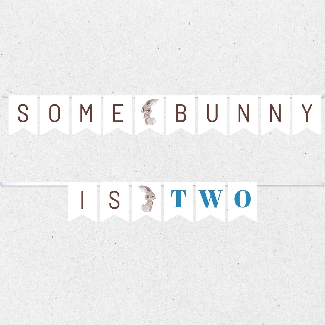 Some Bunny is Two Birthday Banner, Boy 2nd Birthday, Birthday Bunting ...
