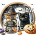 Spooky Halloween Black Cat Jack O Lantern DIY Halloween Sublimation ...