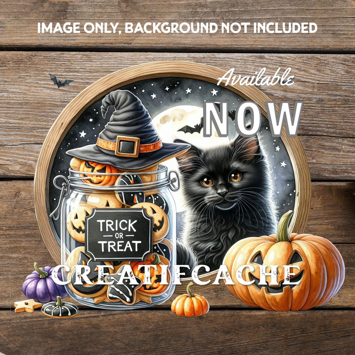 Spooky Halloween Black Cat Jack O Lantern DIY Halloween Sublimation ...