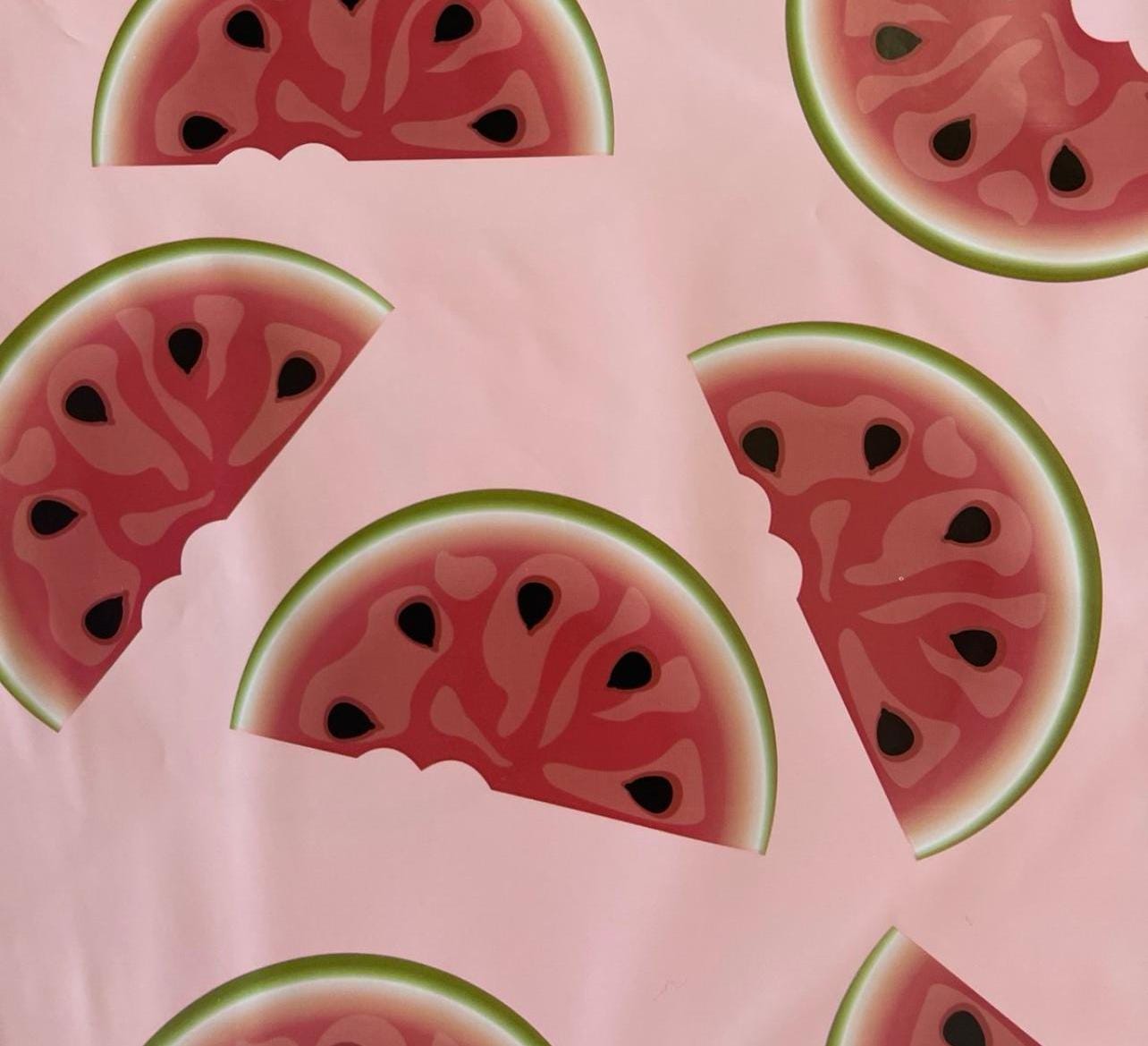 50 Pack - Juicy Watermelon 10x13" Poly Mailers & 4x6" Matching Insert ...
