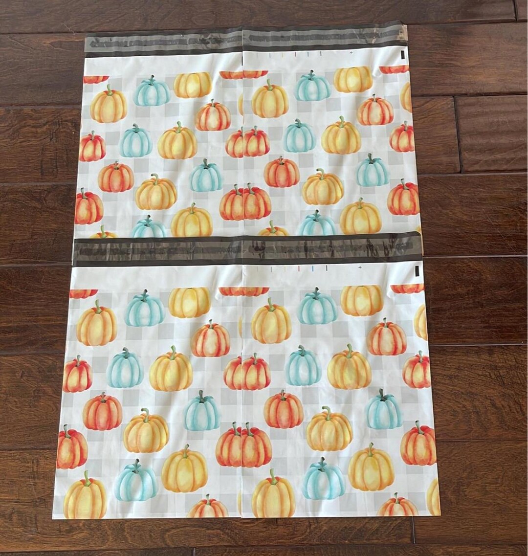 10x13" Beautiful Colorful Pumpkins Designer Poly Mailers! Non-padded ...