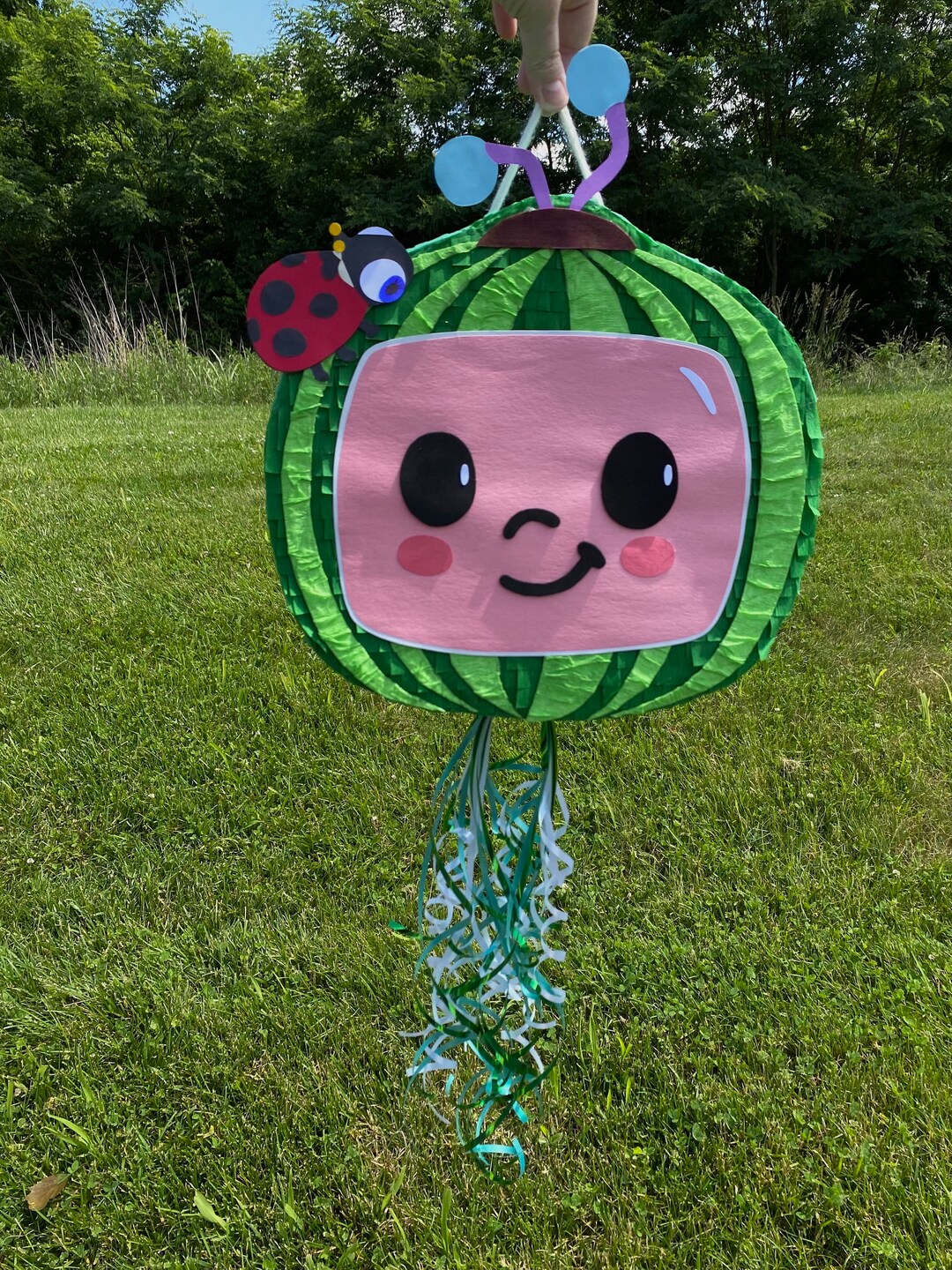 Cocomelon Piñata - Etsy