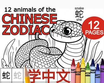 Mandarin Chinese Coloring Book for Kids - Nature Vocabulary - Etsy