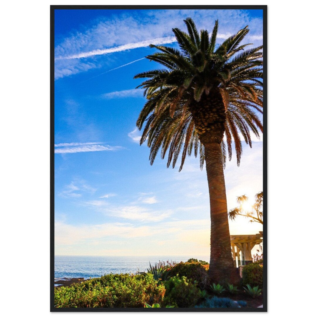 Great Coastal Palm Tree Premium Matte Paper Wooden Framed Poster - Etsy