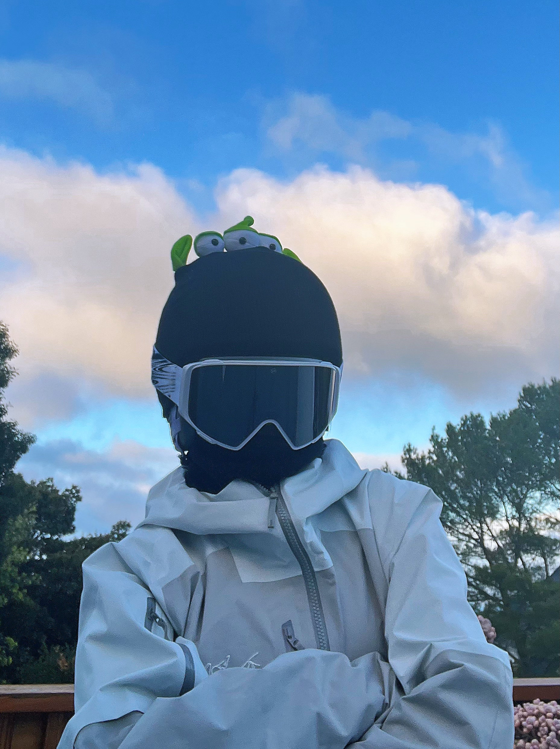 Three-eye Alien Green Ski Helmet Cover Uni Size Girl Kids Adults Helmet ...