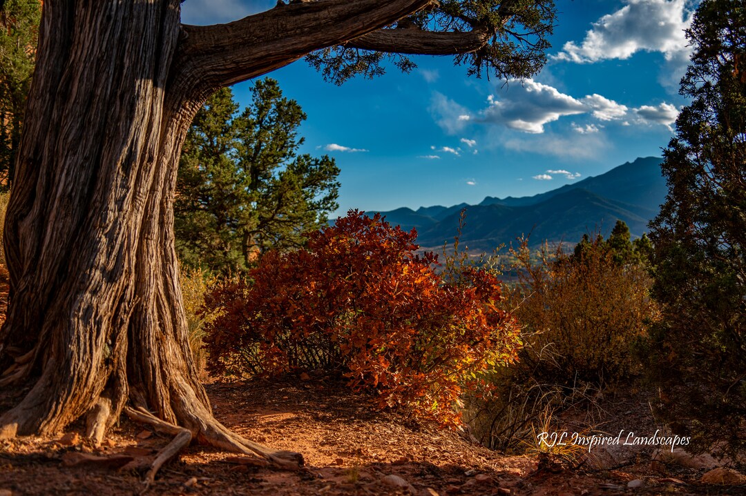 Garden of the Gods Fall Landscape Photo, Colorado Springs, Red Rock ...