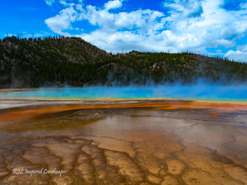 Sequoia National Park Photography Print – Giant Redwood Tree Art - Etsy