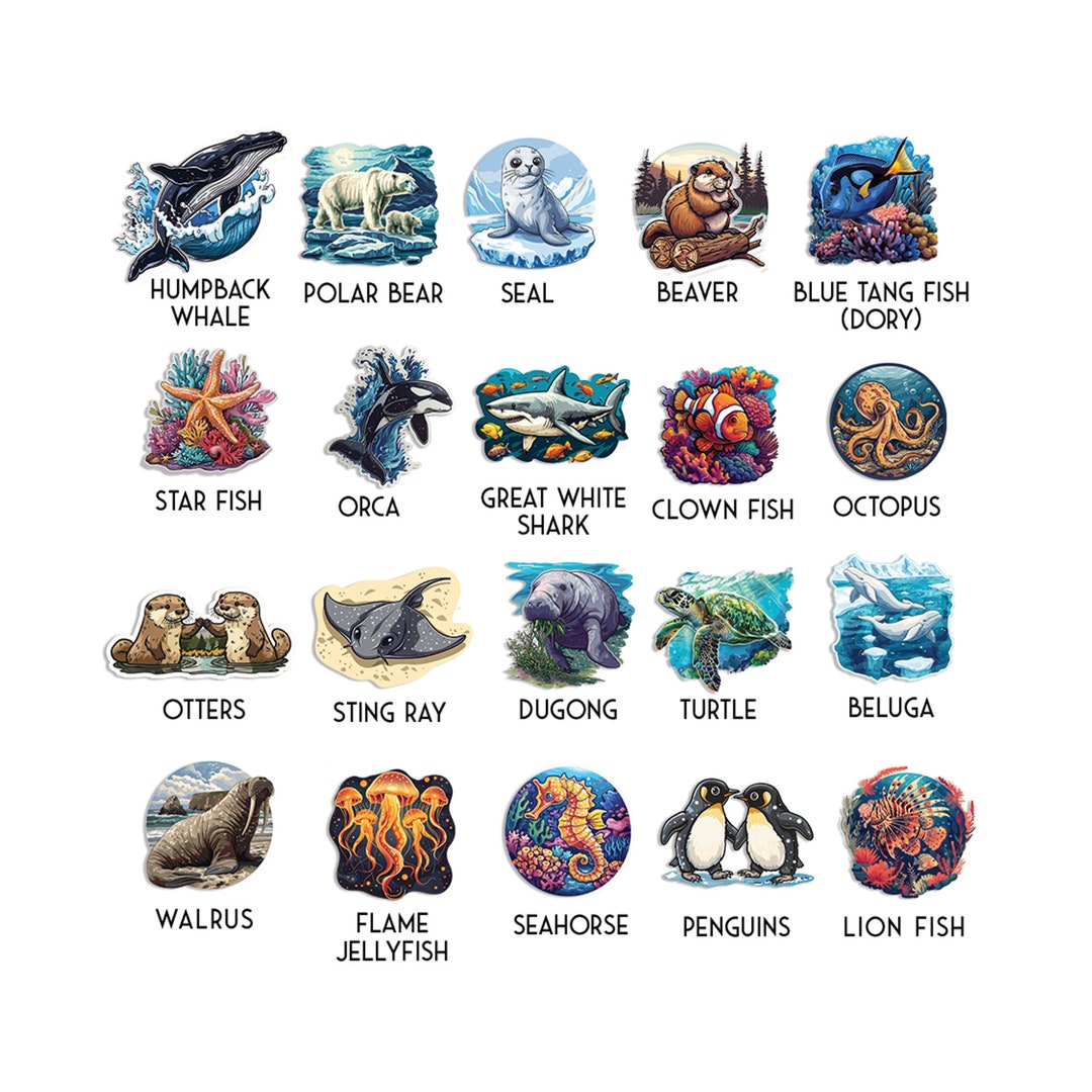 5-20 Aquatic Animal Stickers | Turtle | Seal | Otters | Stingray | Orca ...