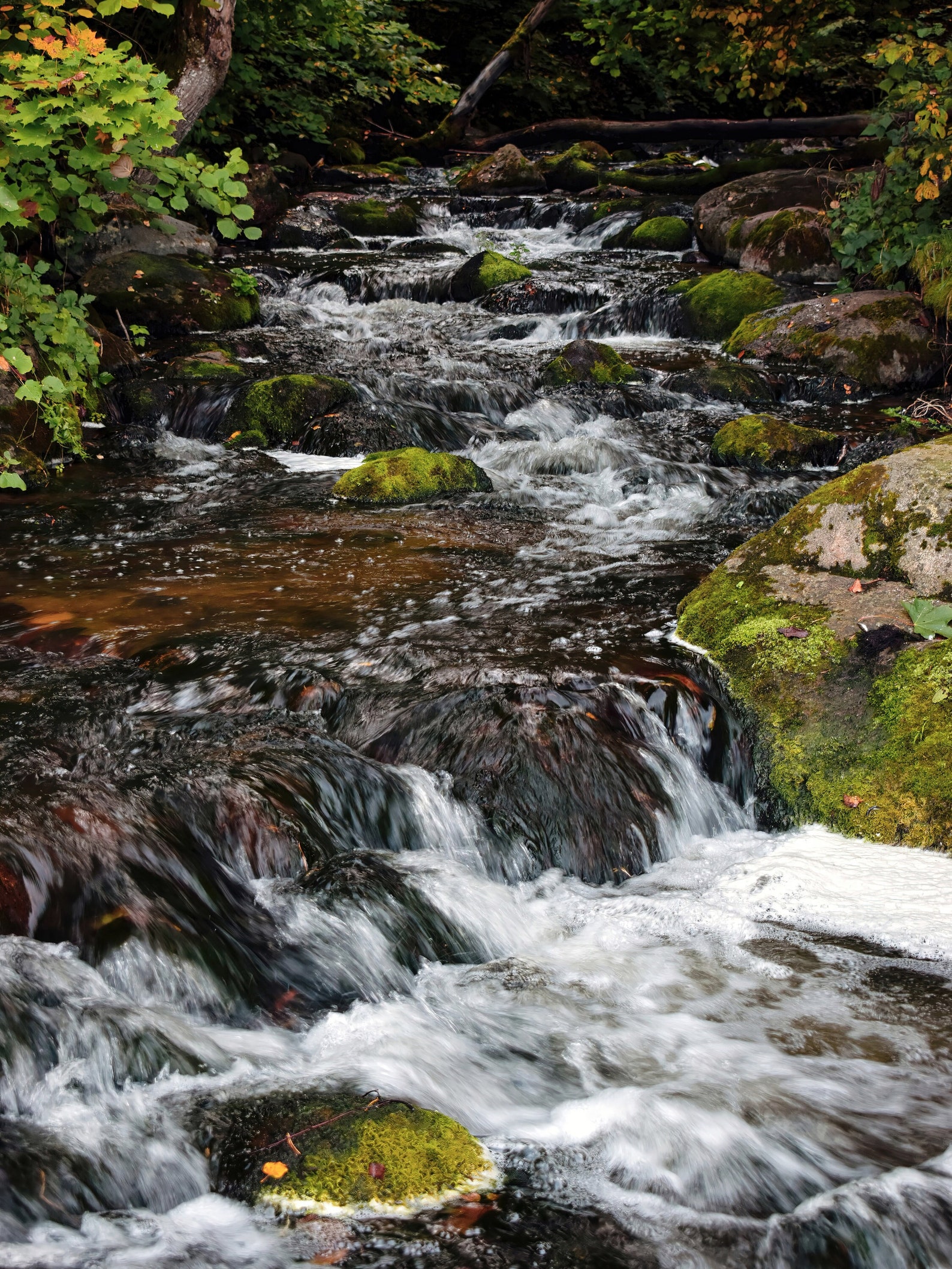 Forest River Waterfall Poster Print: Serene Nature Landscape - Etsy