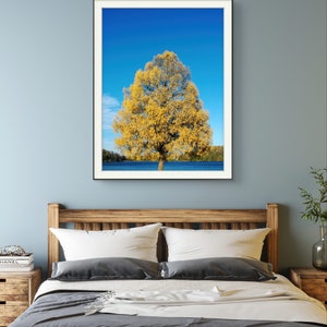 Yellow Autumn Tree Poster Print Lake Landscape Colorful Tree Nature ...