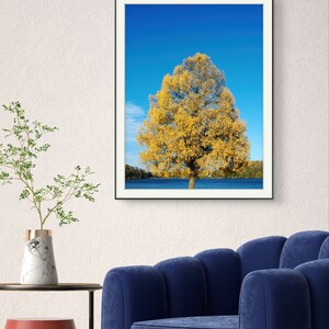 Yellow Autumn Tree Poster Print Lake Landscape Colorful Tree Nature ...