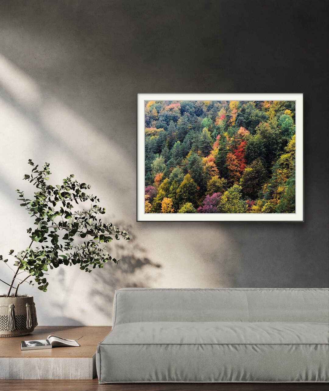 Colorful Autumn Forest Poster Print | Landscape Print | Forest Photo ...