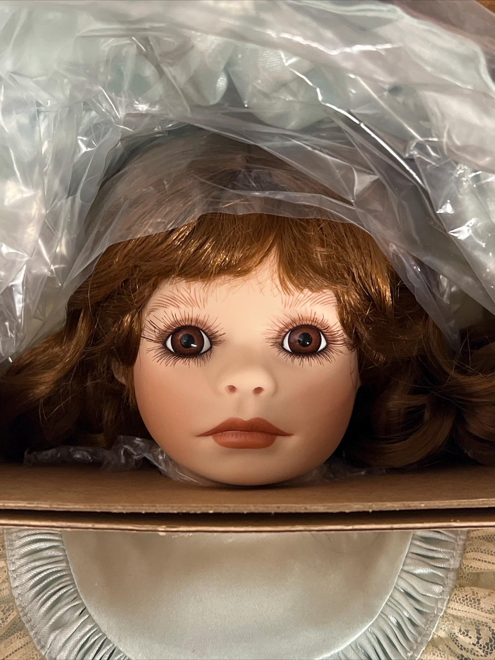 Ashton-drake 17in "cecilia" Porcelain Doll Brown Hair & Eyes NIB With ...