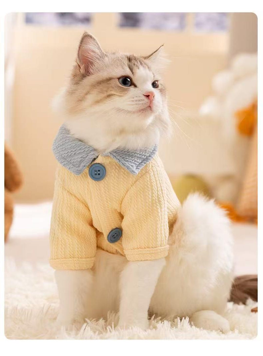 Cat Clothes, Elegant Style Cat Clothes, Warm Cat Clothes, Cat Fashion ...
