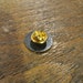 Gratz College Lapel Pin gratz Seal - Etsy