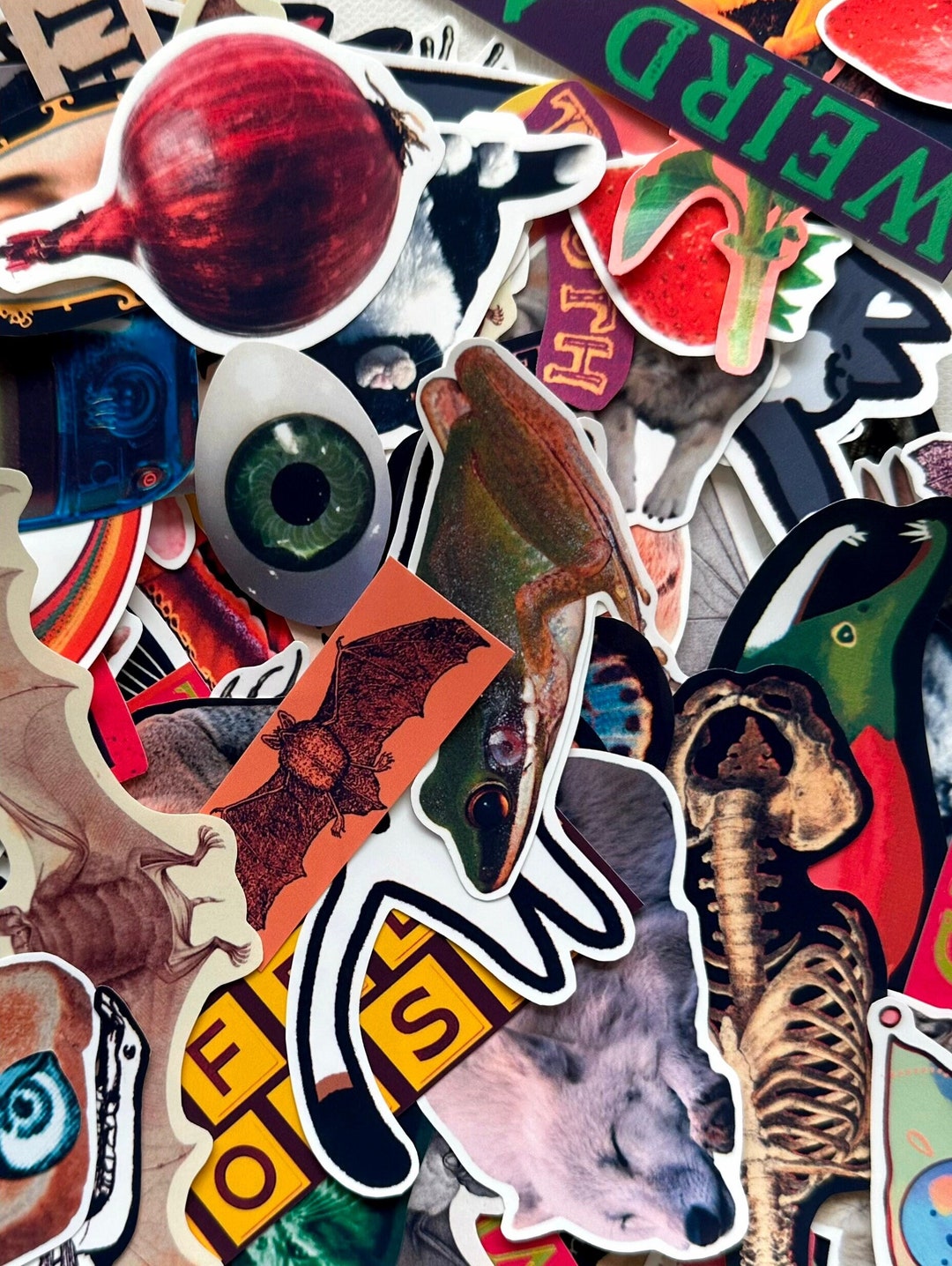 10 Surprise Stickers Mystery Grab Bag Strange Animals and Oddities - Etsy