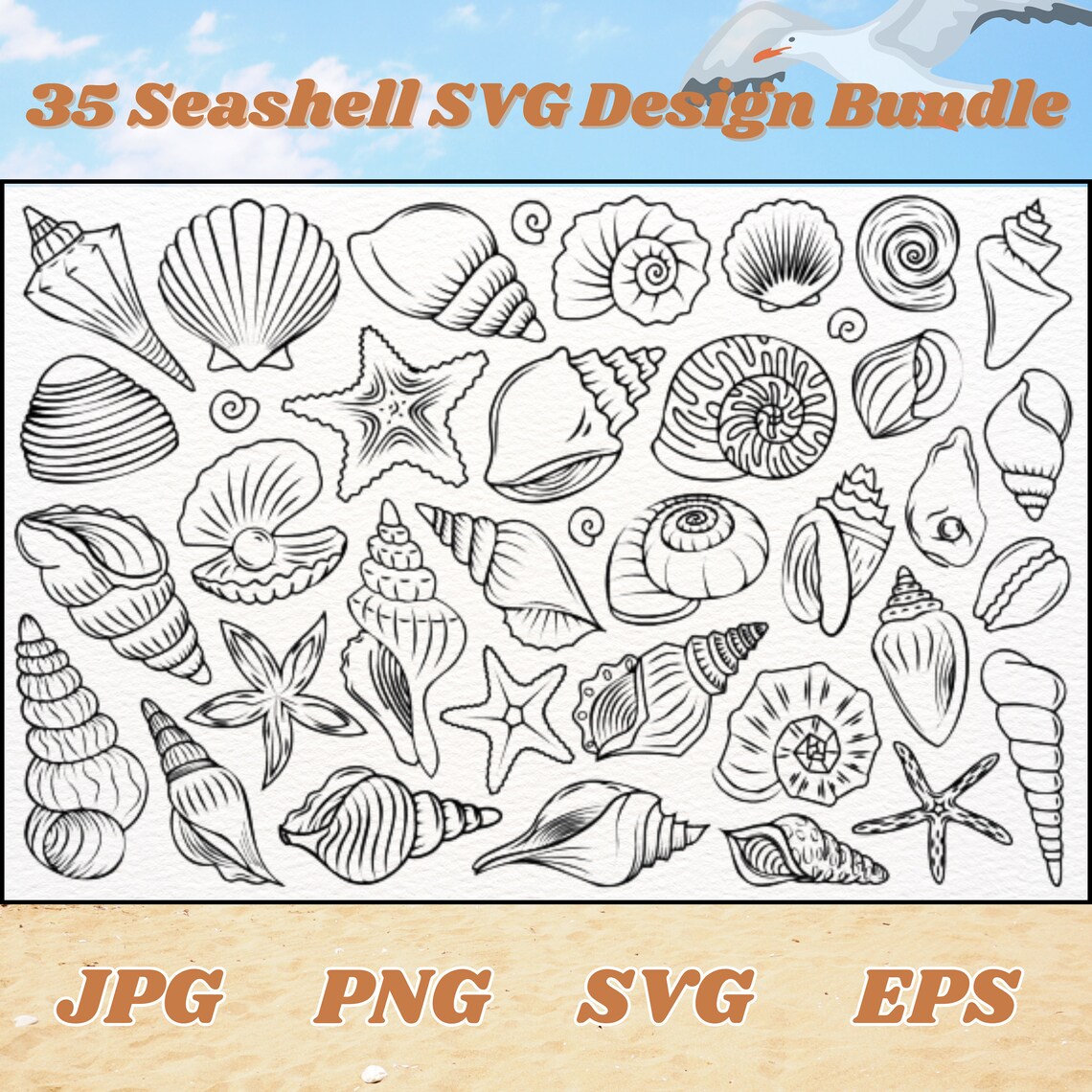 35 Seashells SVG Bundle Seashell SVG Beach Svg Seashell Line Art Bundle ...