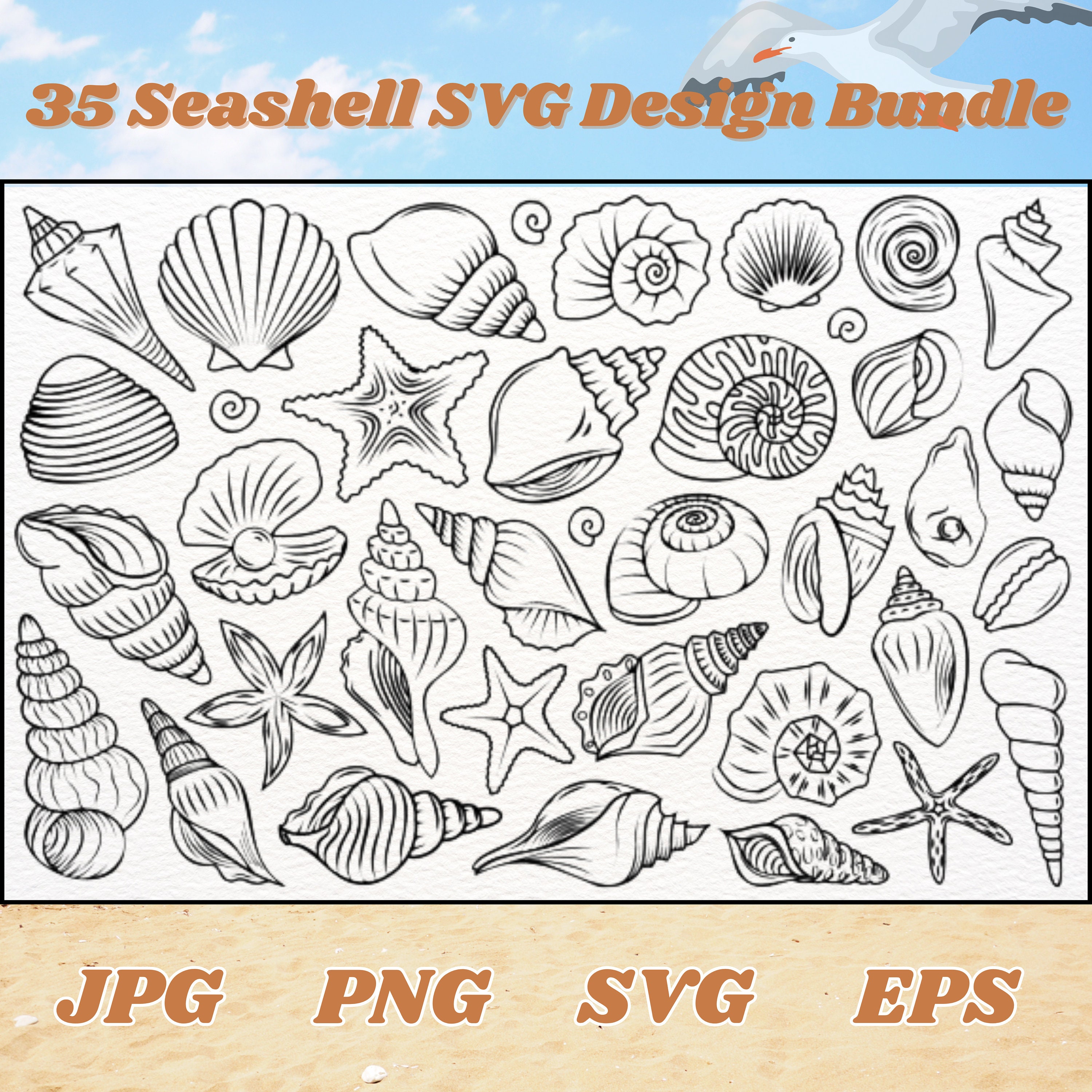 35 Seashells SVG Bundle Seashell SVG Beach Svg Seashell Line Art Bundle ...