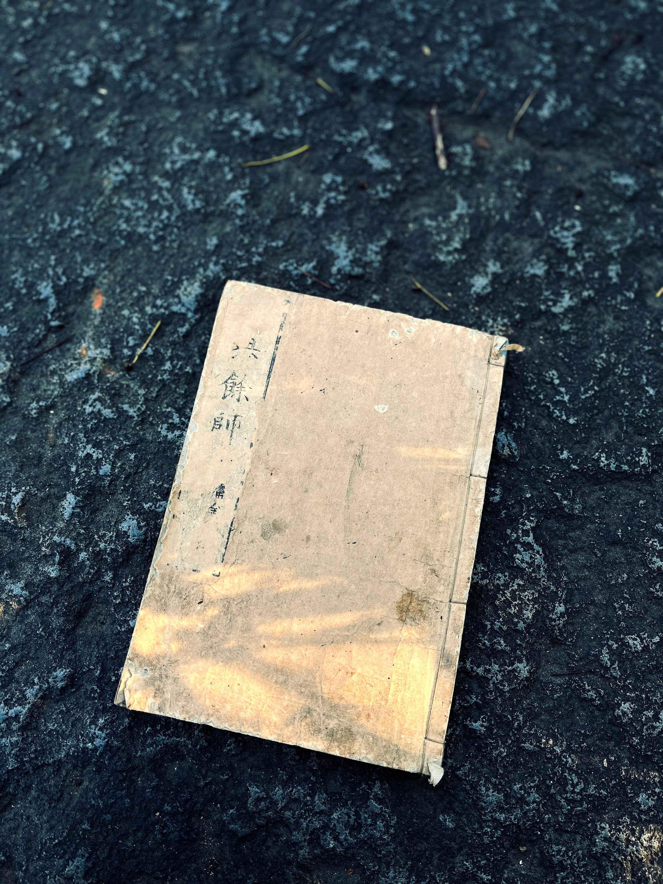 Japanese Vintage Washi Paper Book, Edo Period 1794. - Etsy