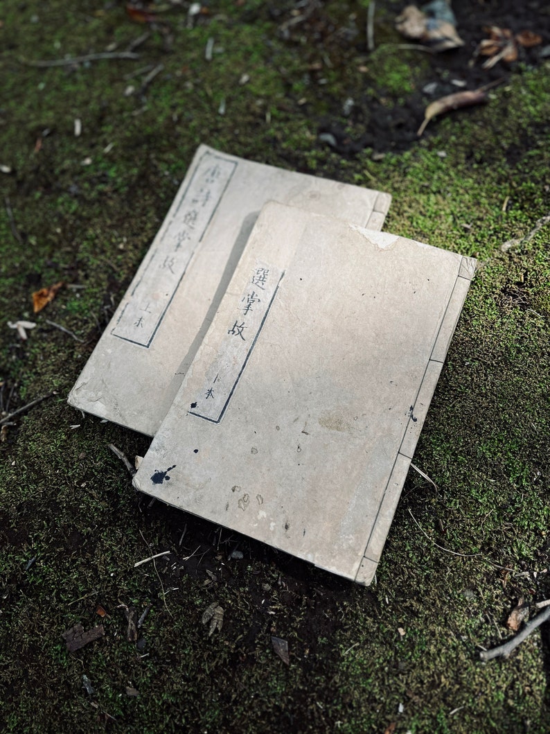 Japanese Vintage Washi Paper Book Set of 2, Edo Period 1793. - Etsy