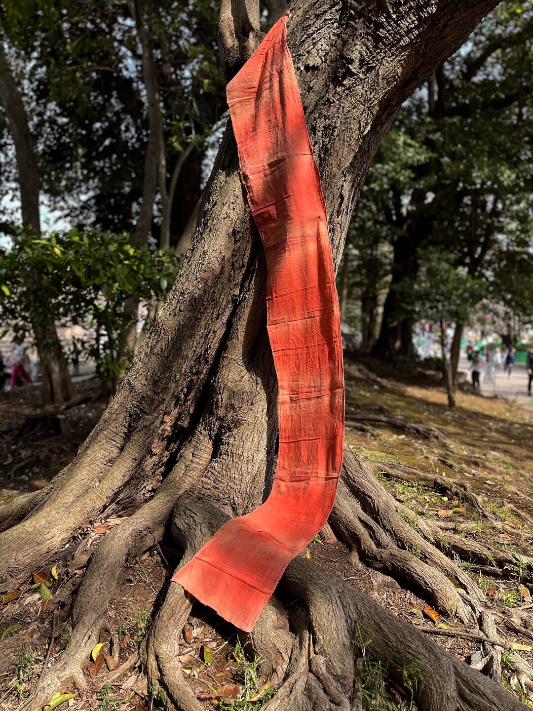 Benibana Safflower Dyed Cotton Cloth Fragment, From the Taisho to Early ...
