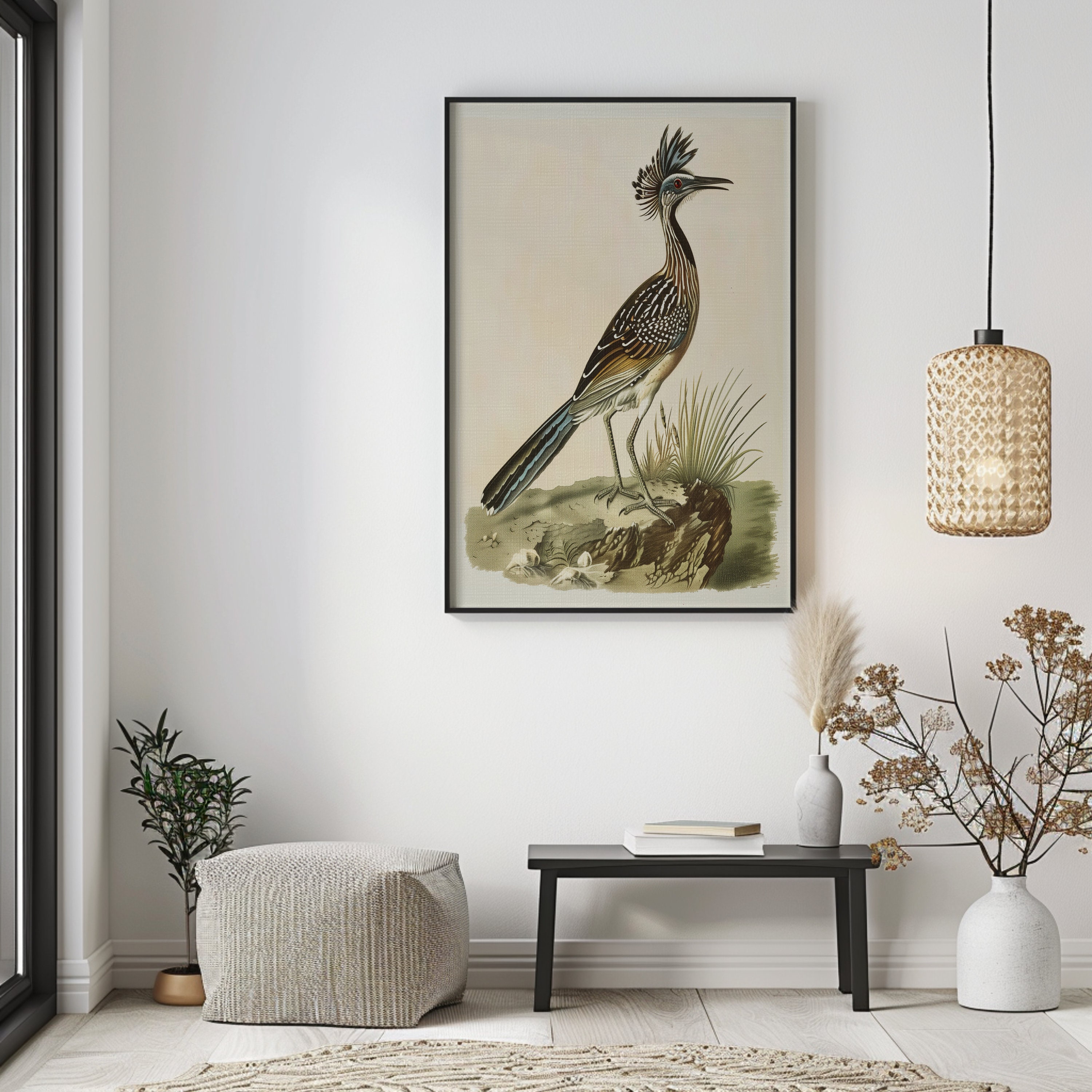 Audubon Roadrunner Print, John James Audubon, Vintage Roadrunner ...