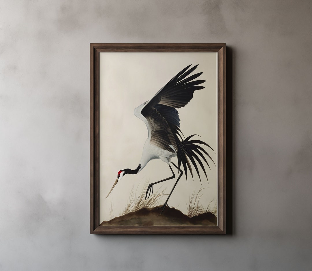 Vintage Audubon Whooping Crane Print, John James Audubon, Bird Wall Art ...