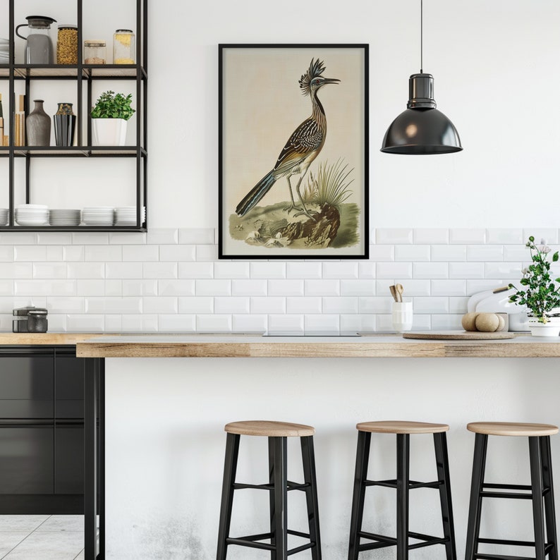 Audubon Roadrunner Print, John James Audubon, Vintage Roadrunner ...