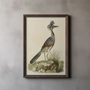 Roadrunner - Etsy