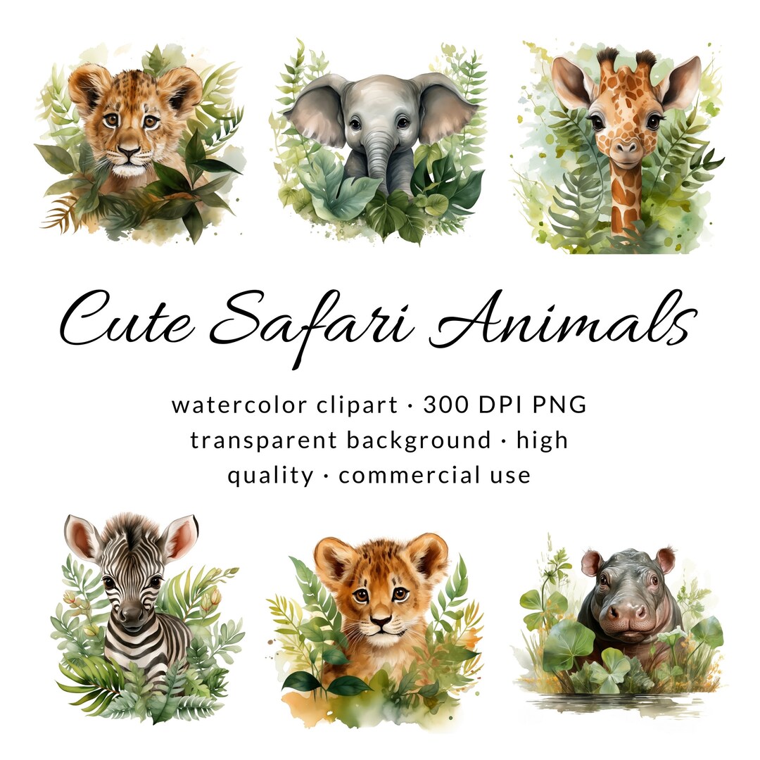 12 Cute Safari Animals Clipart Watercolor Set, Commercial Use, 300 DPI ...