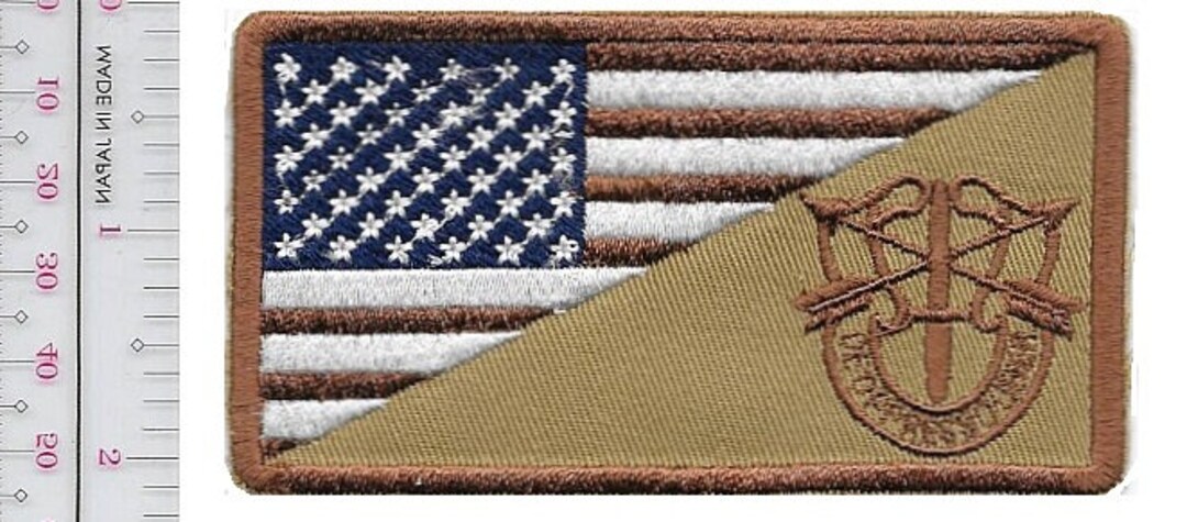 United States Army 10th Mountain Division Afghanistan & Iraq Shoulder ...