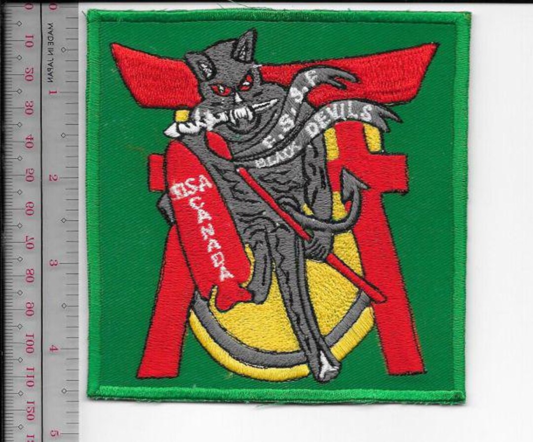 Green Beret US Army 1st Special Forces Group Airborme FSSF Black Devils ...