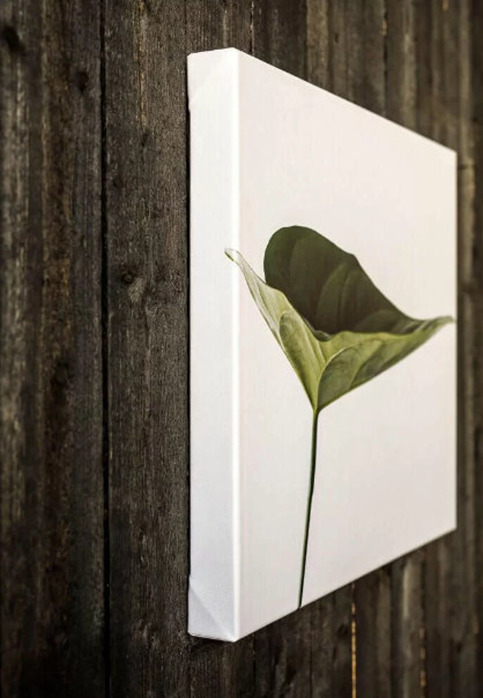 Sound Panel Wall Map - US Hydrological Map - Sound Proof Wall Panel - Etsy