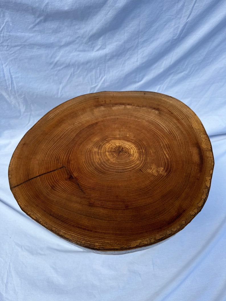 Oak Wood Cookie Slab Live Edge End Table With Metal Hairpin Legs Live ...