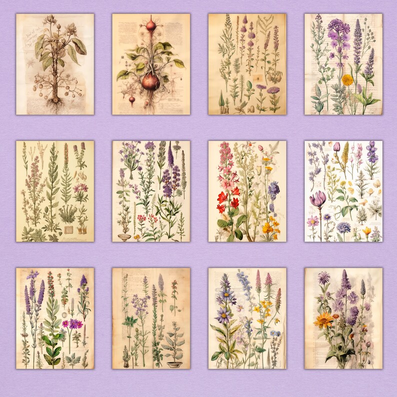 Digital Herbal Scrapbook Kit Vintage Botanical Ephemera Flower ...