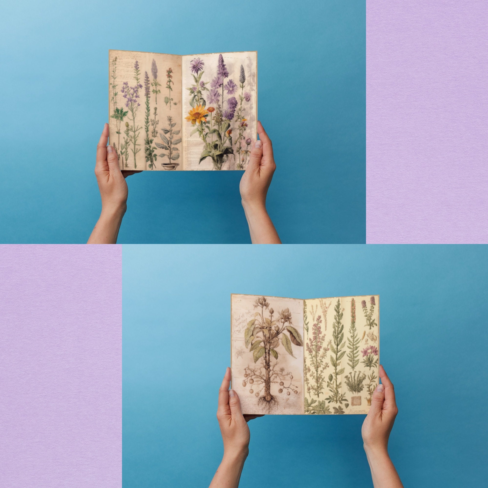 Digital Herbal Scrapbook Kit Vintage Botanical Ephemera Flower ...