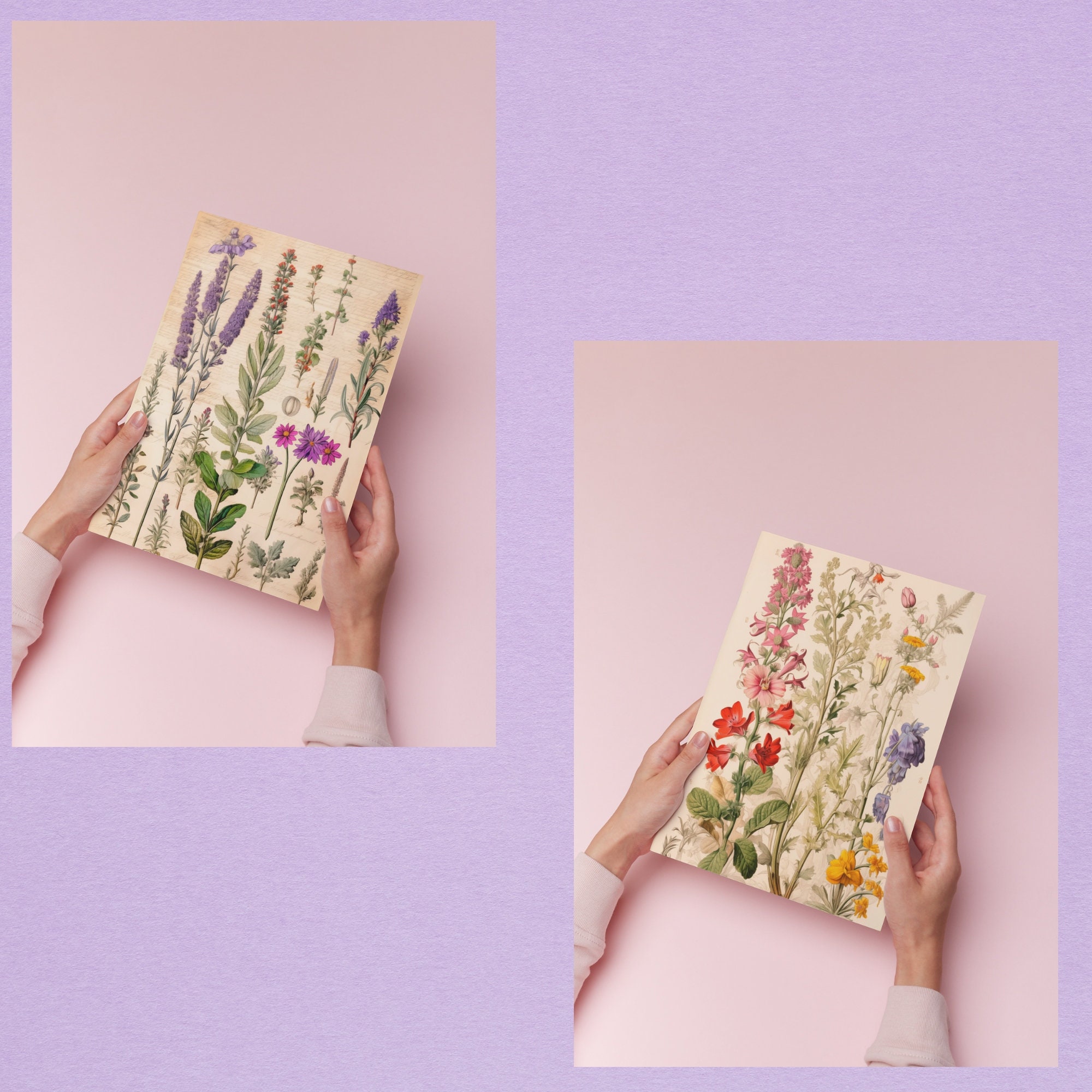 Digital Herbal Scrapbook Kit Vintage Botanical Ephemera Flower ...