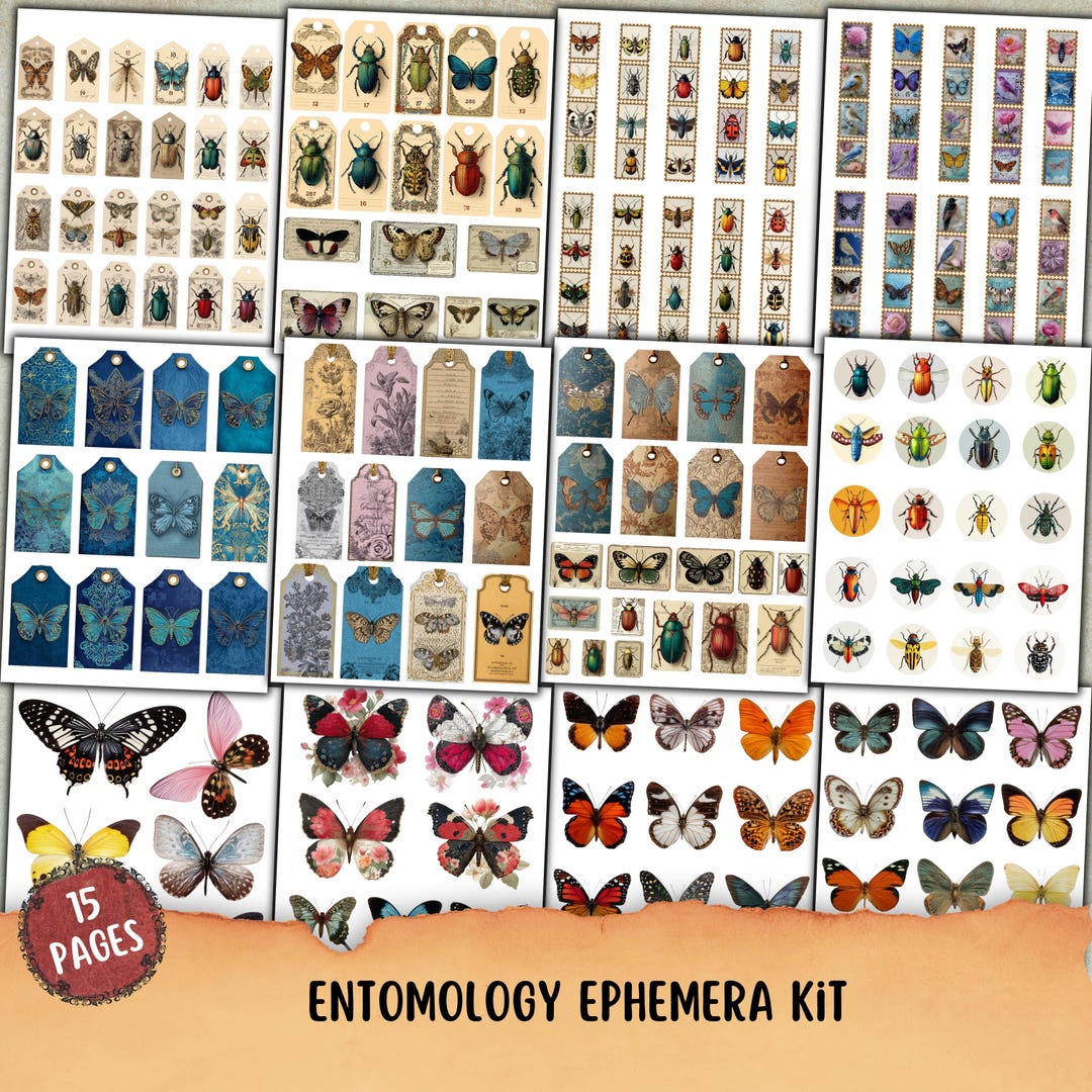 Butterfly Fussy Cut, Entomology Ephemera Kit, Moth Bug TAG, Label, Junk ...