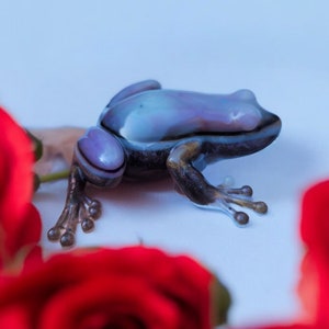 Resin Frog | Black and White Frog | Bronze Frog | Frog Decor | Small ...