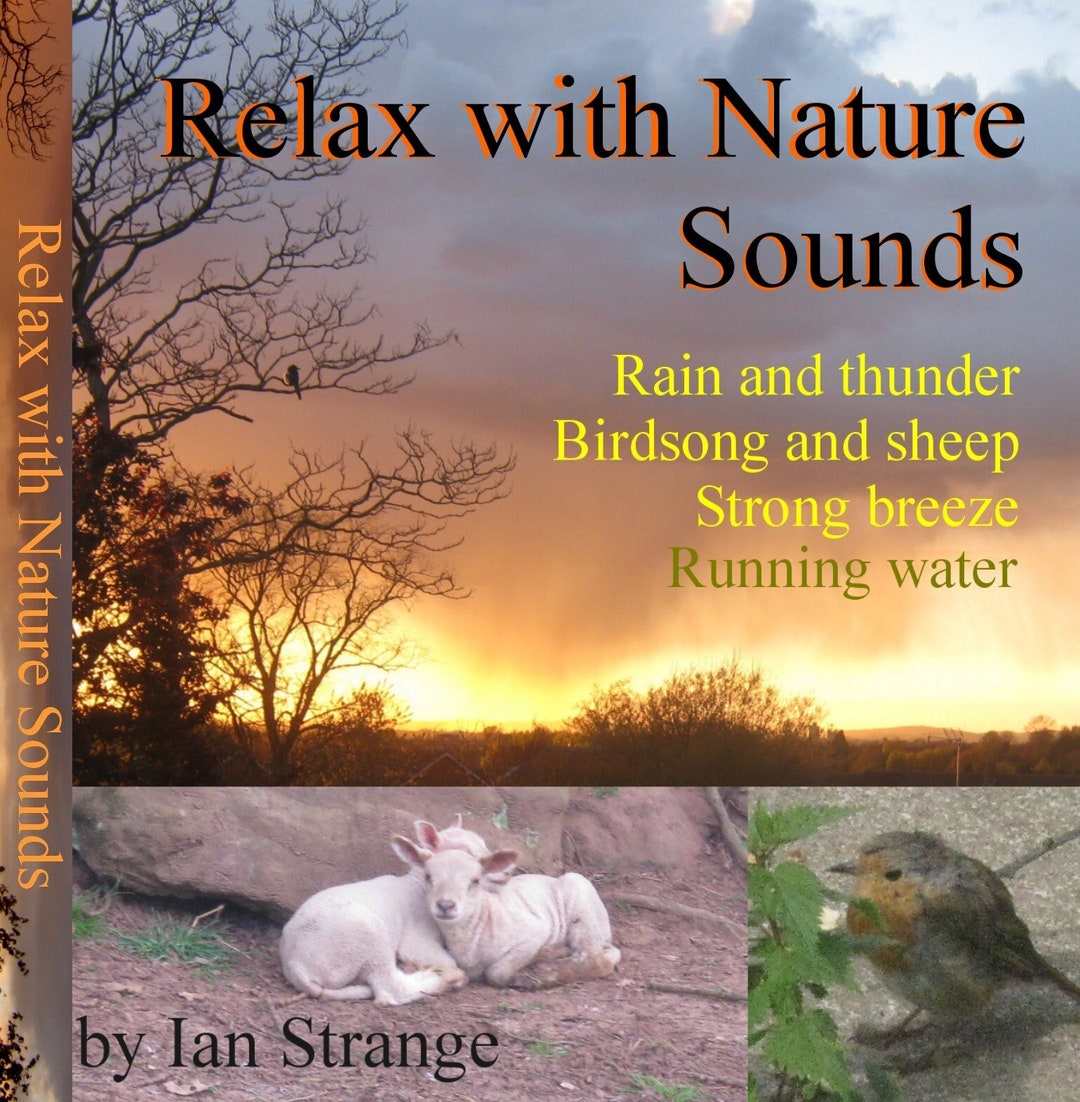 Relax With Nature Sounds. - Etsy