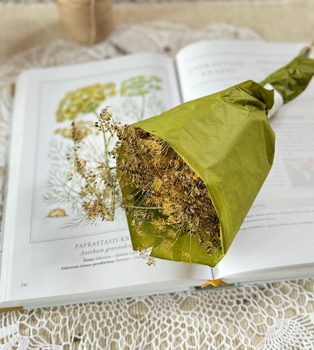 Dried Dill Blossoms Bundle / Dried Flowers With Seeds / Herb / Aroma ...