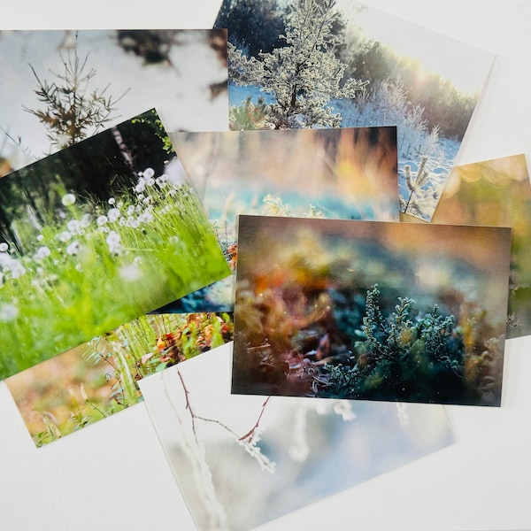 Nature Postcard - Etsy