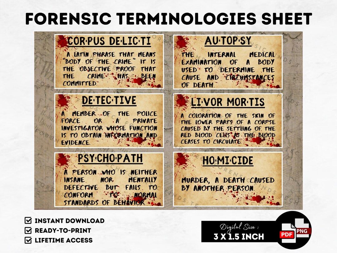 Forensic Terminologies Sheet Crime Dictionary Printable Detective Props ...