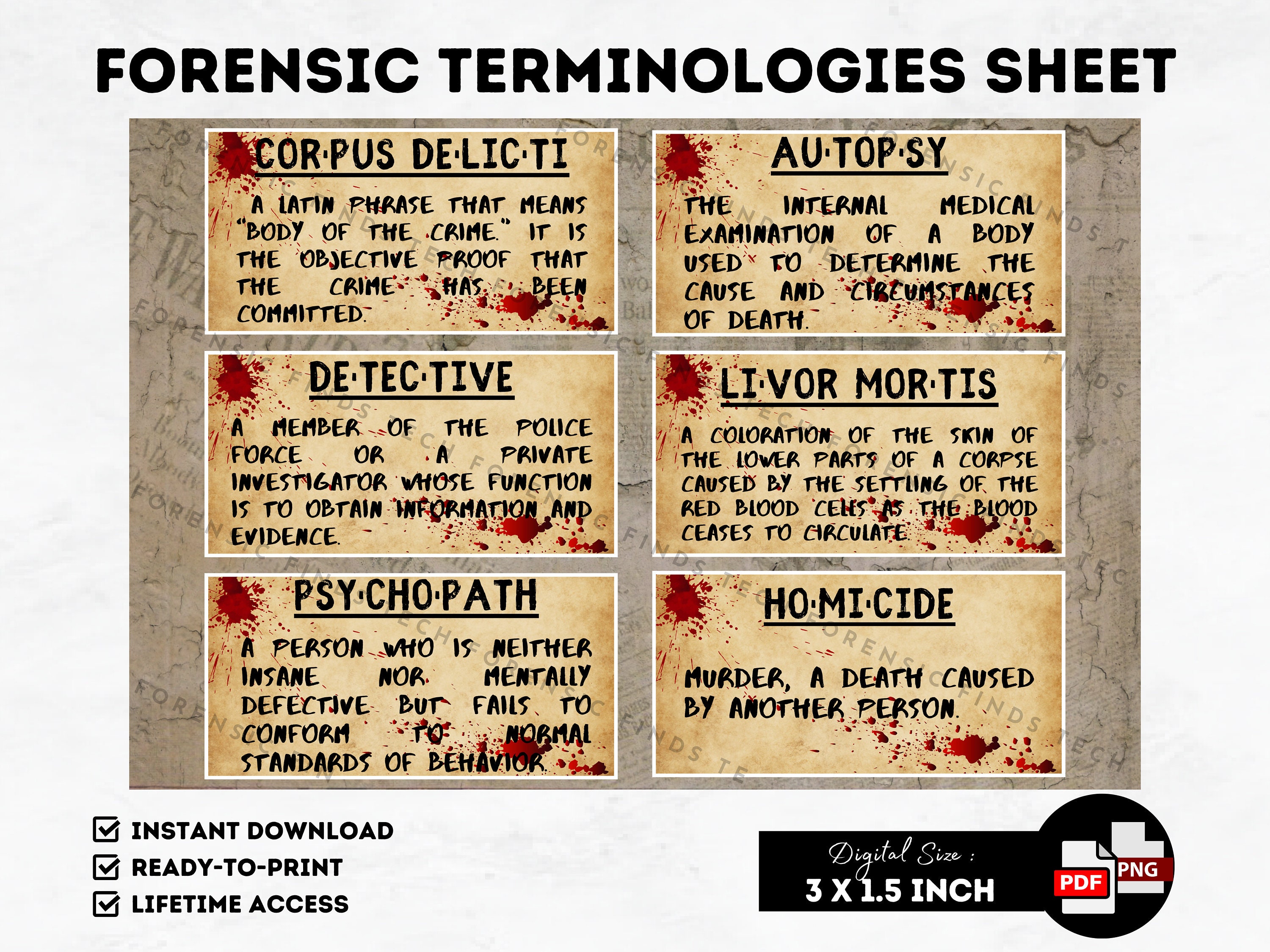 Forensic Terminologies Sheet Crime Dictionary Printable Detective Props ...