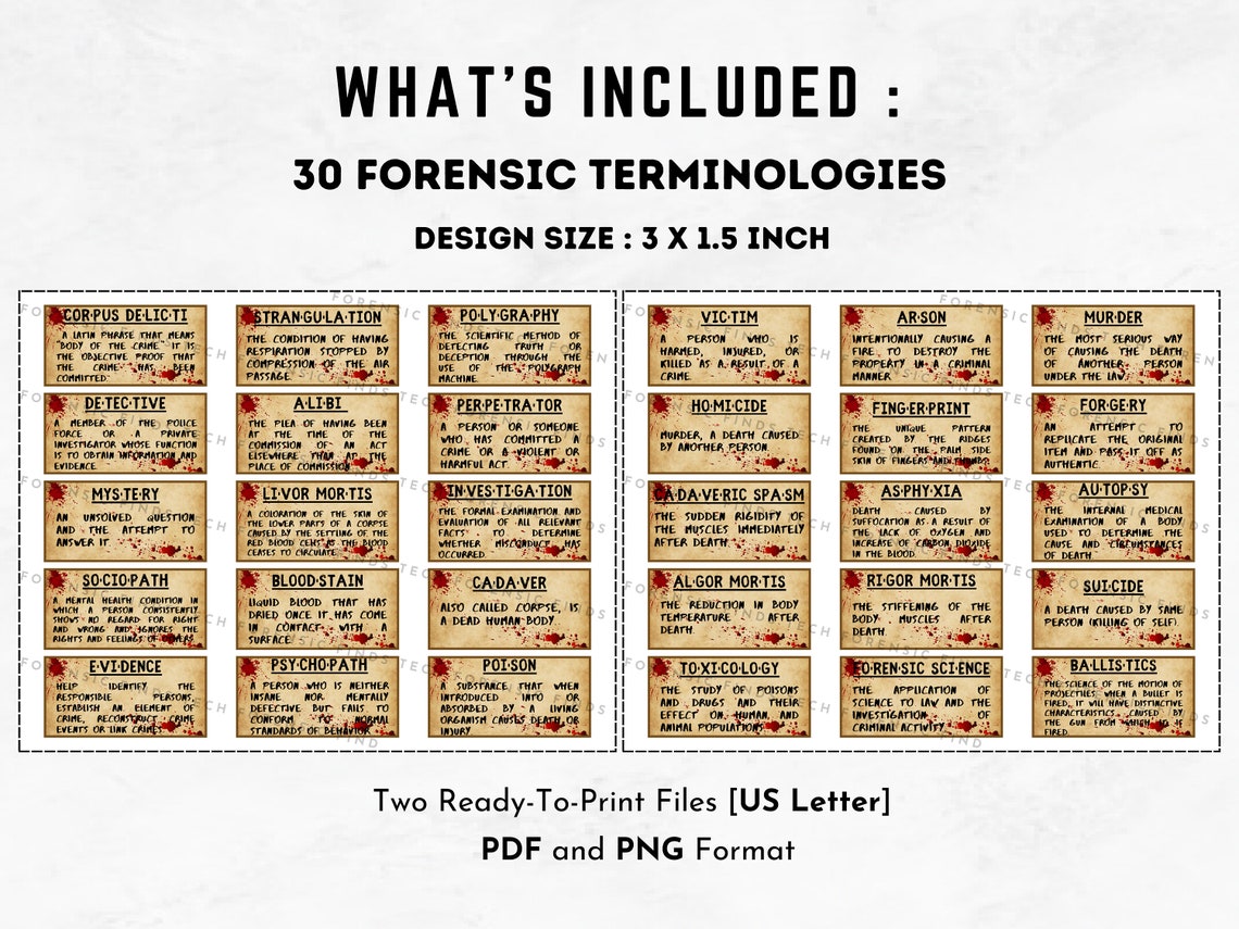 Forensic Terminologies Sheet Crime Dictionary Printable Detective Props ...